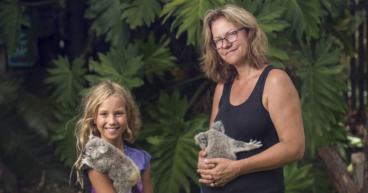 16/11 02:15 | Dodo Heroes på Animal Planet