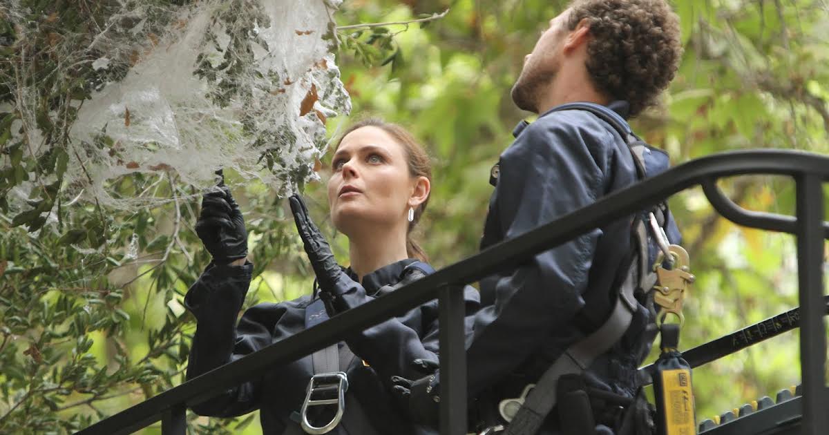 10/2 12:05 | Bones på V Series