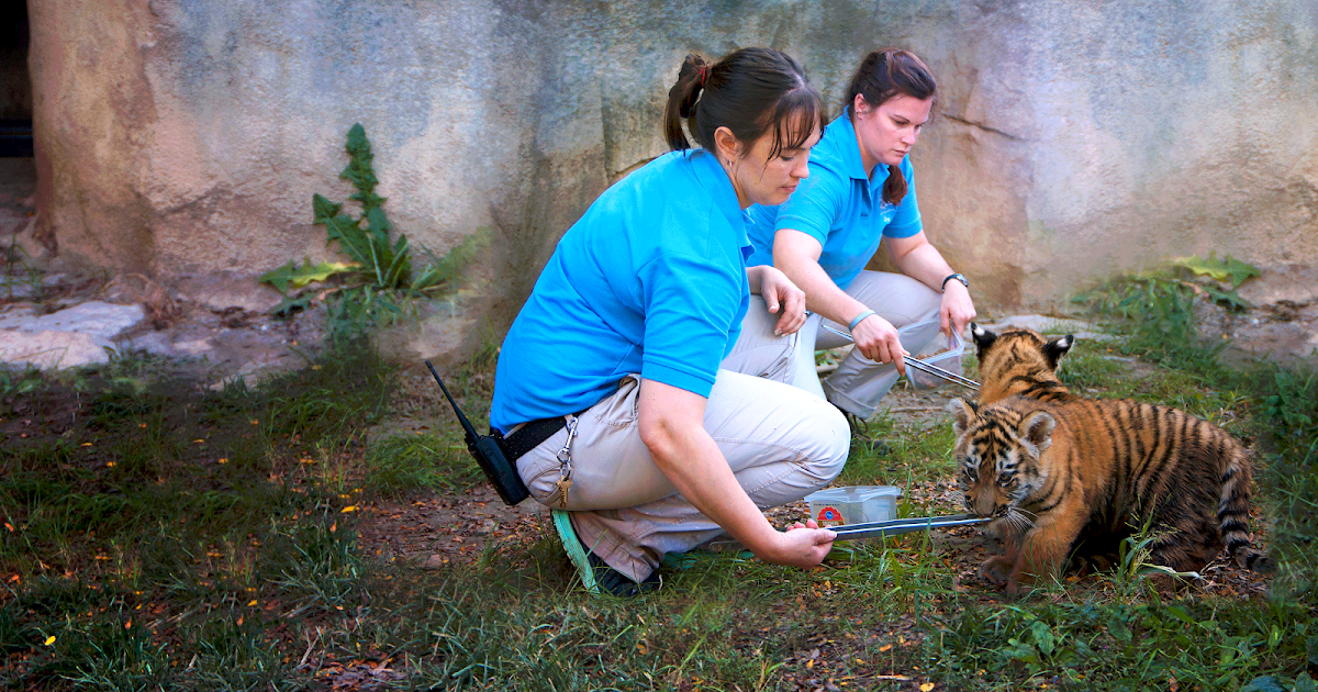 7:00 PM: Secrets Of The Zoo | Nat Geo Wild | 1/23 2026