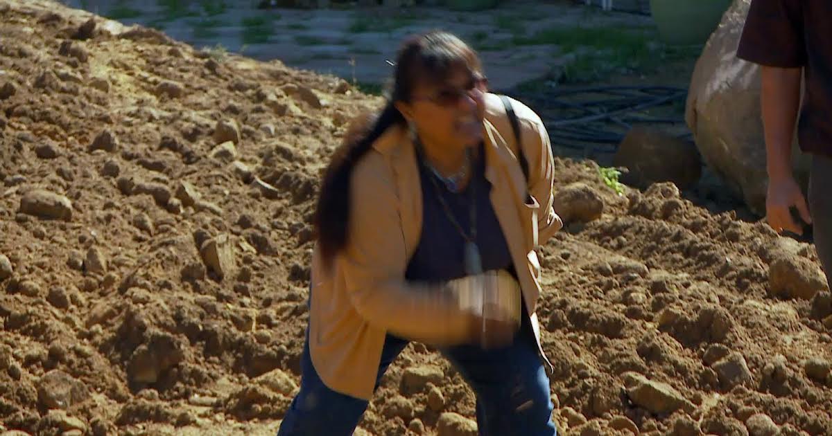 8/2 17:00 | Edible Pool på Animal Planet