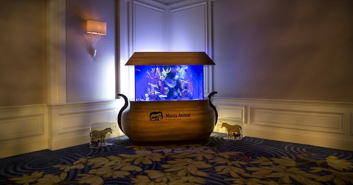 8/2 20:00 | Tanked på Animal Planet