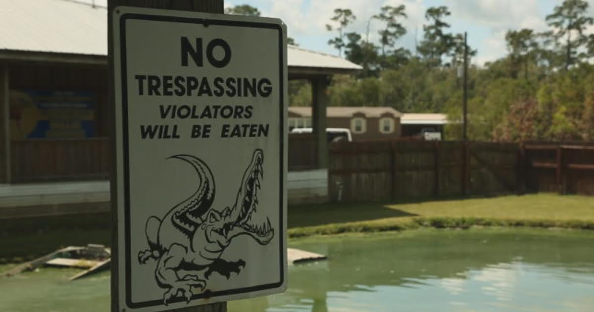 2/7 22:00 | Gator VS. Game Warden på Animal Planet