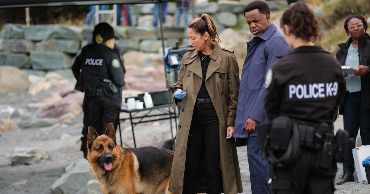 1/12 16:05 | Hudson og Rex på TV2 Charlie