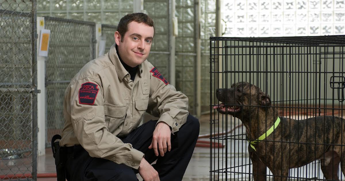 9/2 - 06:50 | Animal Cops Philadelphia på Animal Planet
