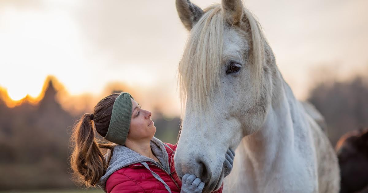 8/5 - 13:05 | Dodo Heroes på Animal Planet
