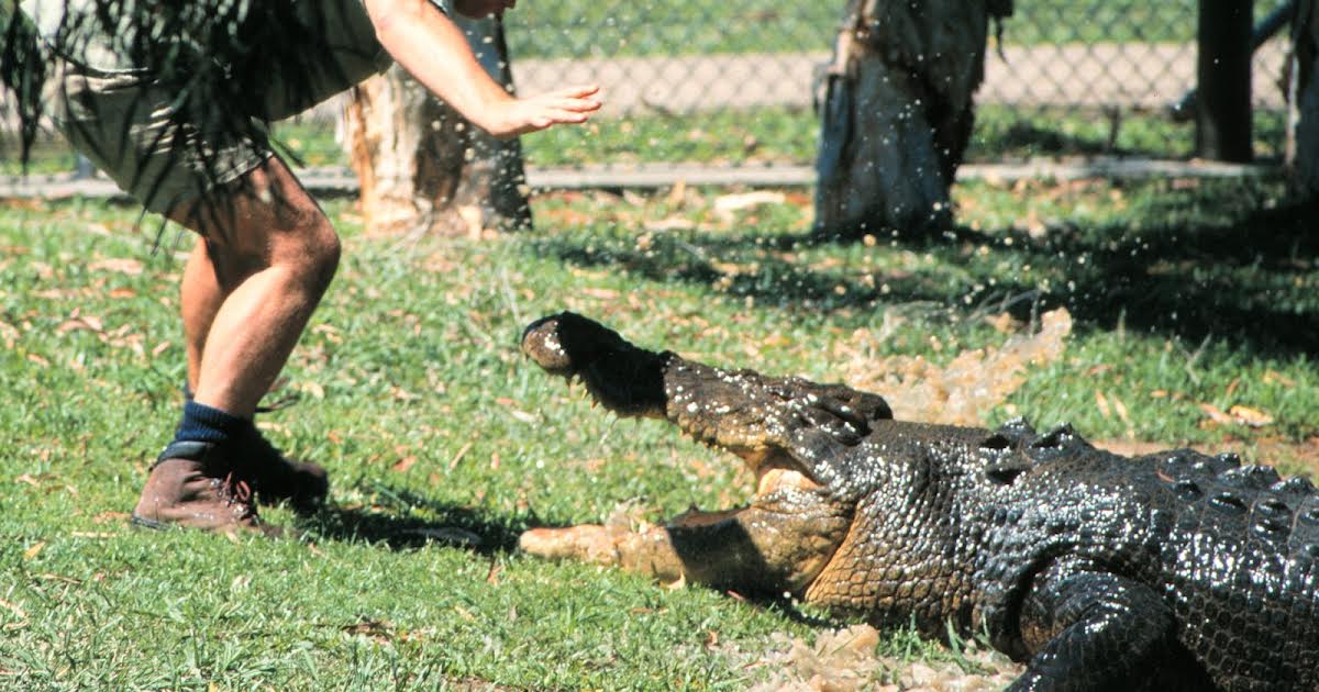 5/10 07:40 | Animal Cops Miami på Animal Planet