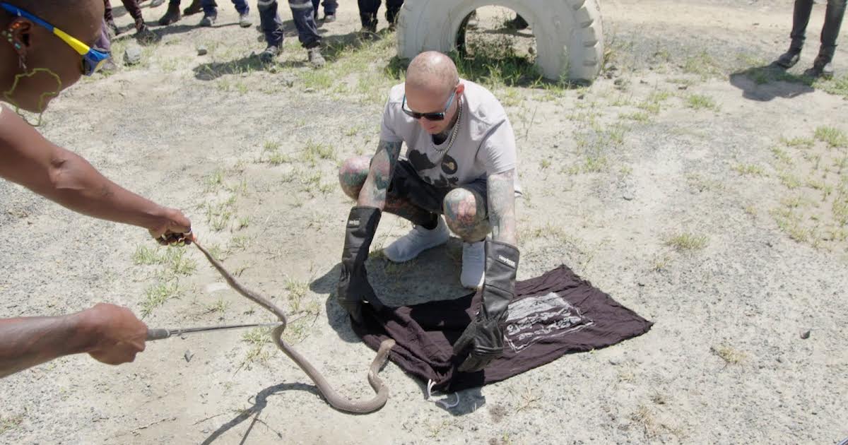 25/7 - 09:45 | Snake City på National Geographic Wild