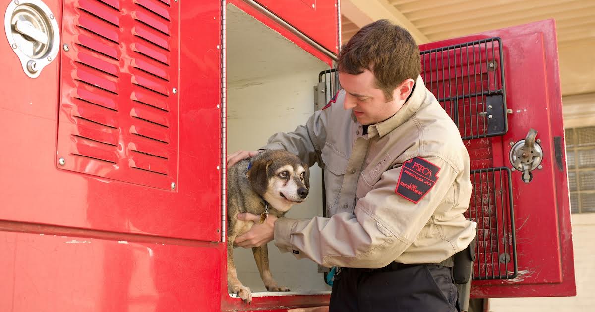 11/7 10:15 | Animal Cops Philadelphia