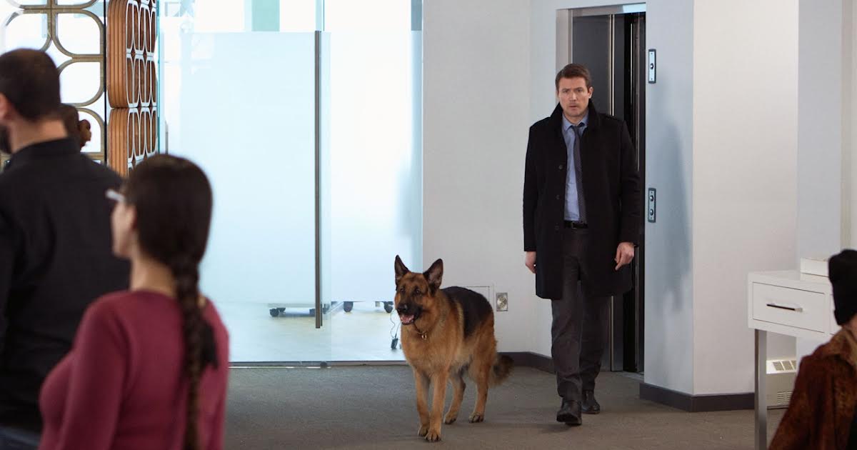 22/1 15:50 | Hudson og Rex på TV2 Charlie