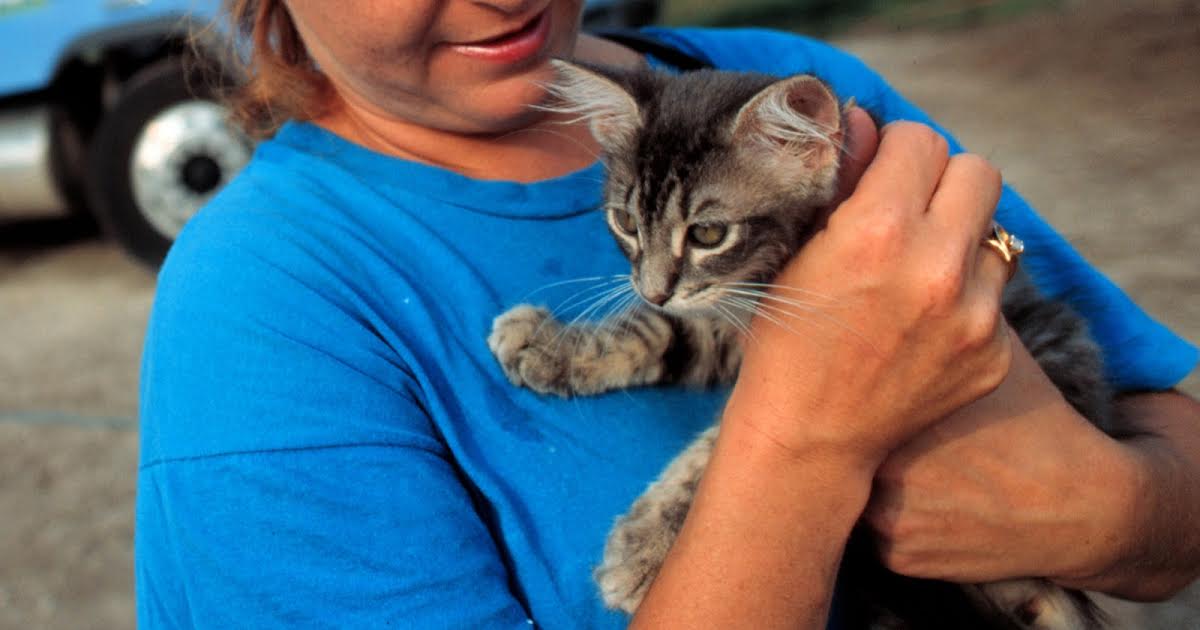 17/3 12:15 | Animal Cops Miami på Animal Planet