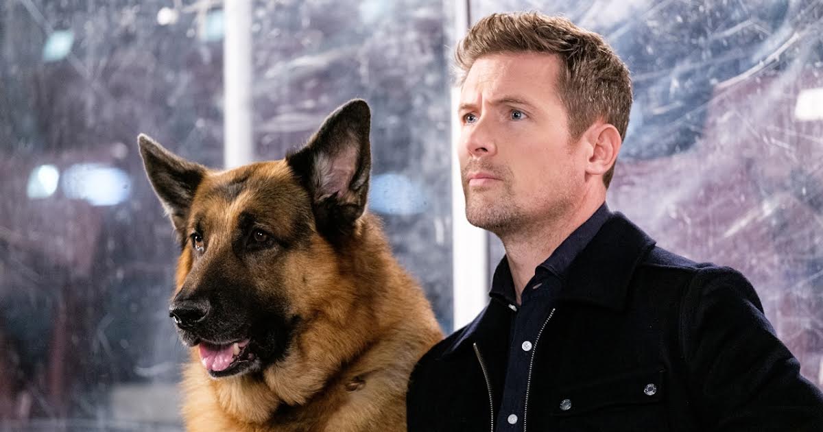 25/9 15:35 | Hudson og Rex på TV2 Charlie