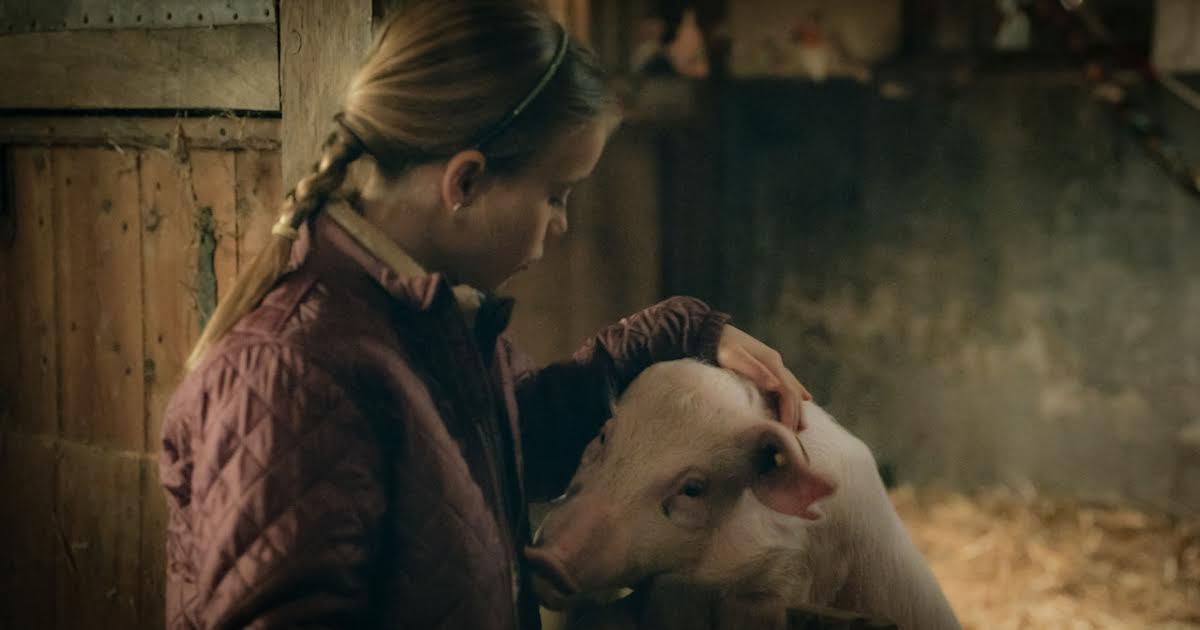 19/12 16:25 | Valdes Jul - Vintermiraklet på TV2