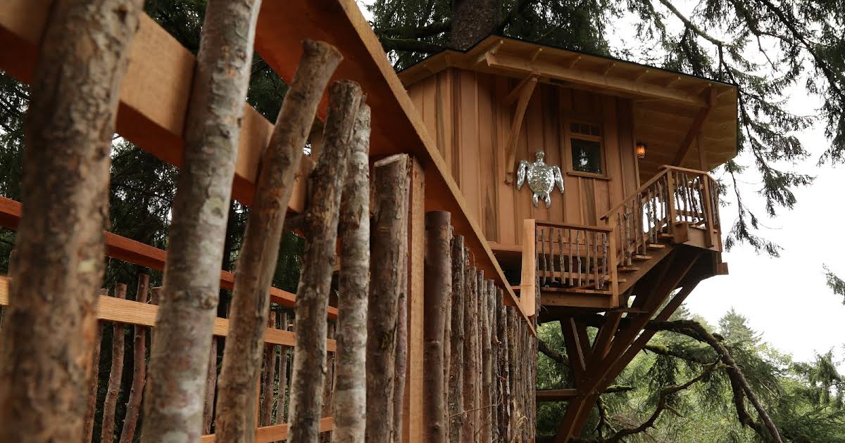 5/1 11:20 | Treehouse Masters på Canal 9