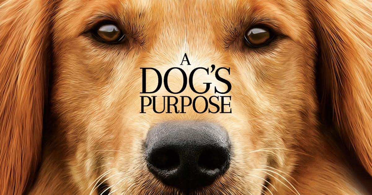 16/1 21:00 | A Dog’s Purpose (2017)