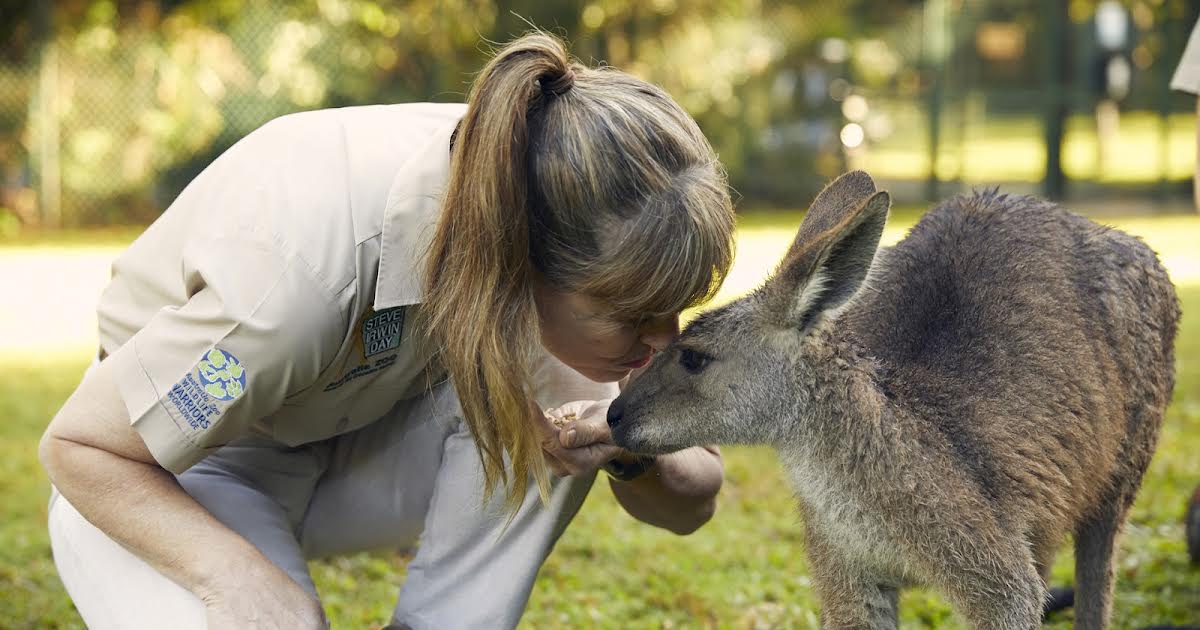 5/7 12:05 | Crikey! It's the Irwins på Animal Planet