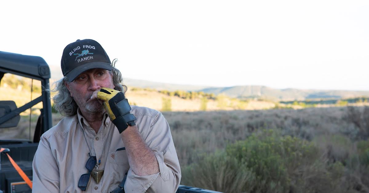 18/1 12:15 | Mystery At Blind Frog Ranch