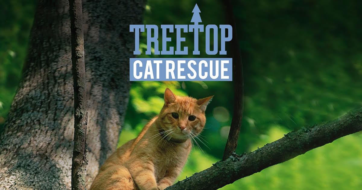 05:38: Treetop Cat Rescue (S1 E6) (S1) | Animal Planet | 2/3 2026