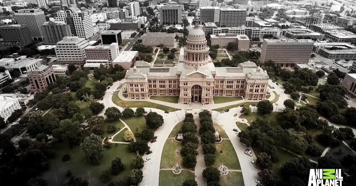 5:00 PM: Lone Star Law (S6 E17) (S6) | Animal Planet | 2/6 2026