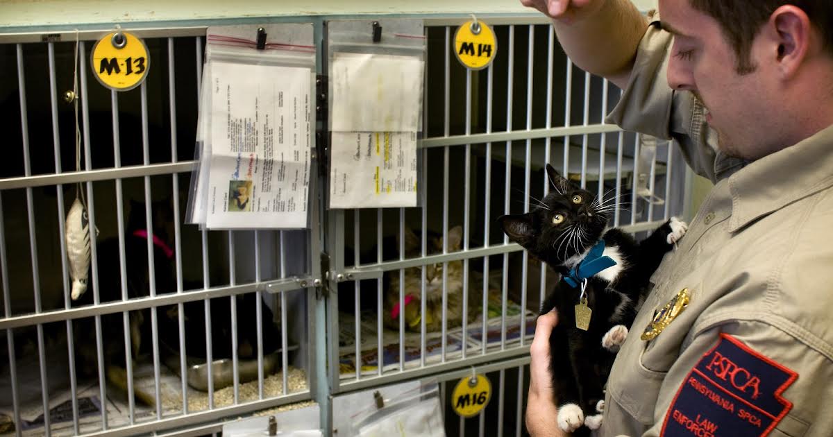 23/12 06:50 | Animal Cops Philadelphia