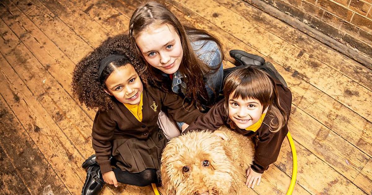 12:40 PM: Waffle's After School Club (S1) | Cbeebies | 1/3 2026