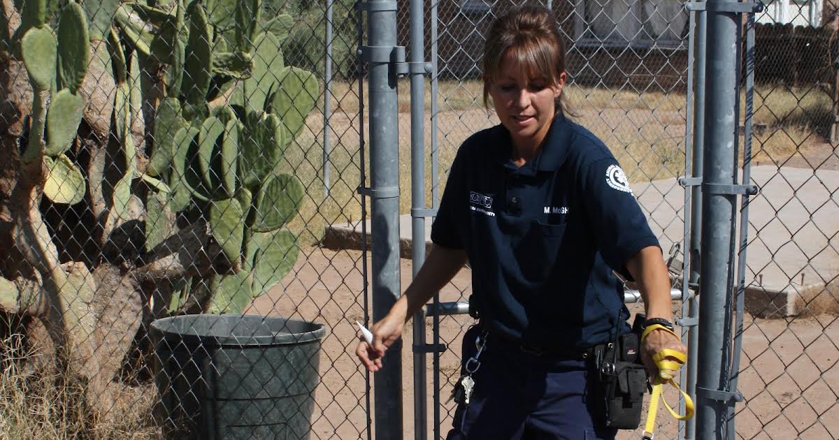 16/2 11:15 | Animal Cops Phoenix på Animal Planet