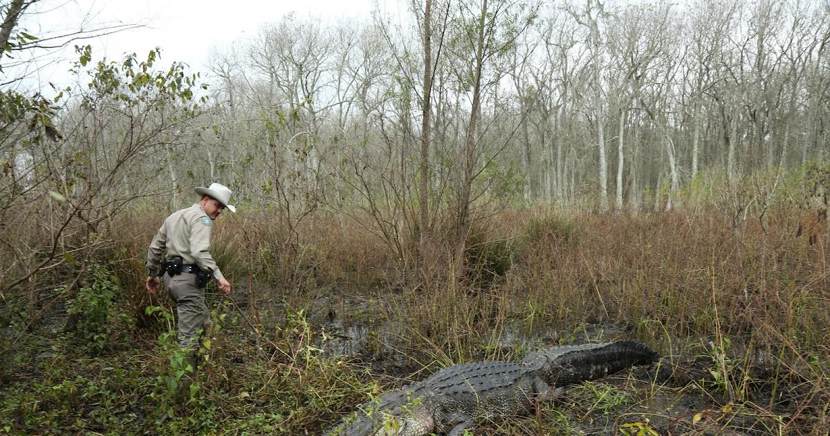 28/1 12:10 | Lone Star Law på Animal Planet