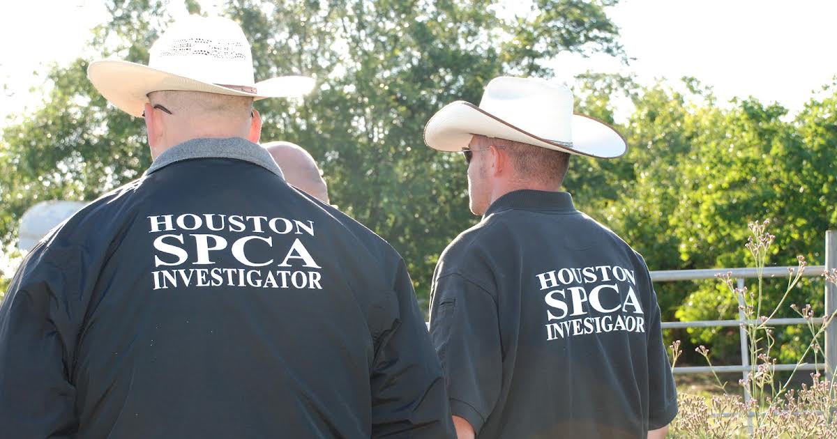 5/2 03:15 | Animal Cops Houston på Animal Planet