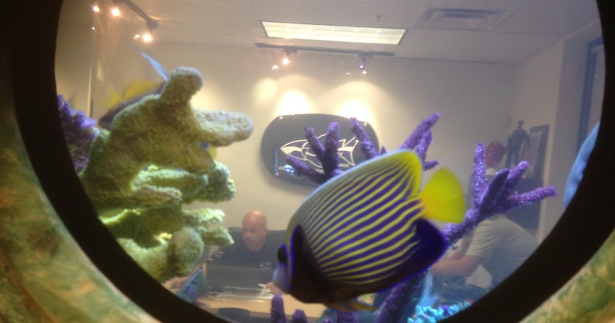 8/2 21:00 | Tanked på Animal Planet