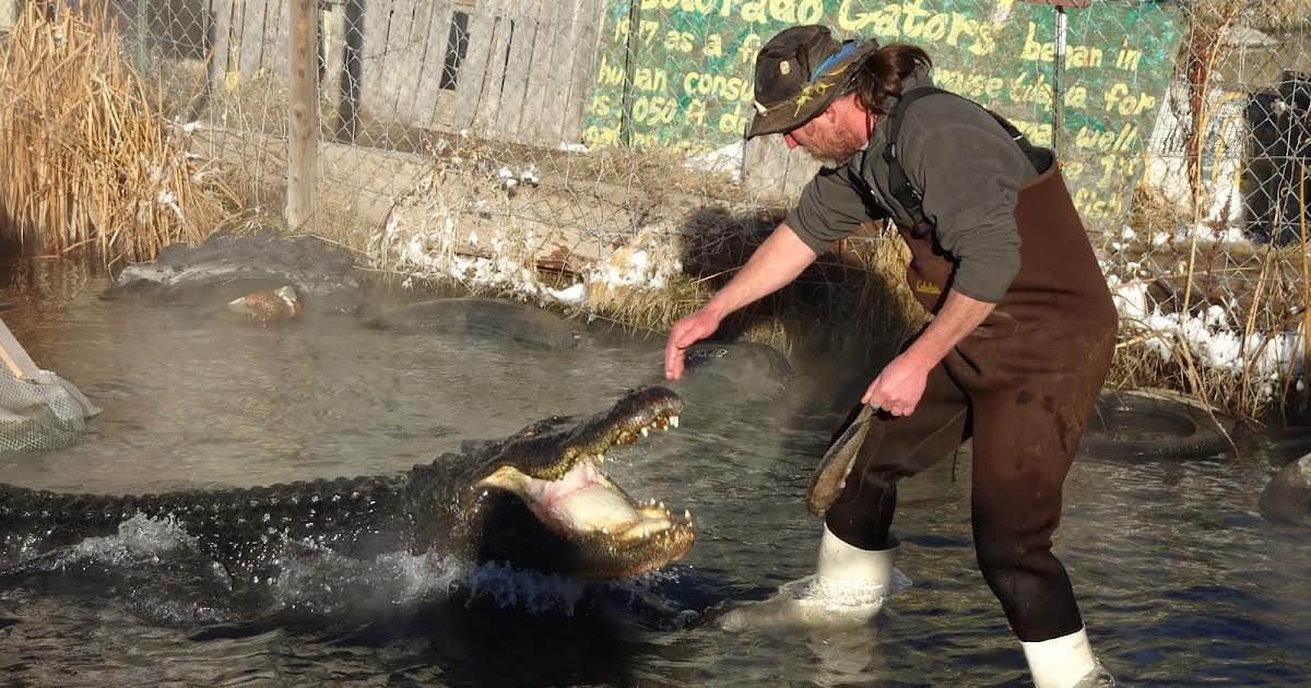 1/2 10:20 | Dr. Jeff: Rocky Mountain Vet