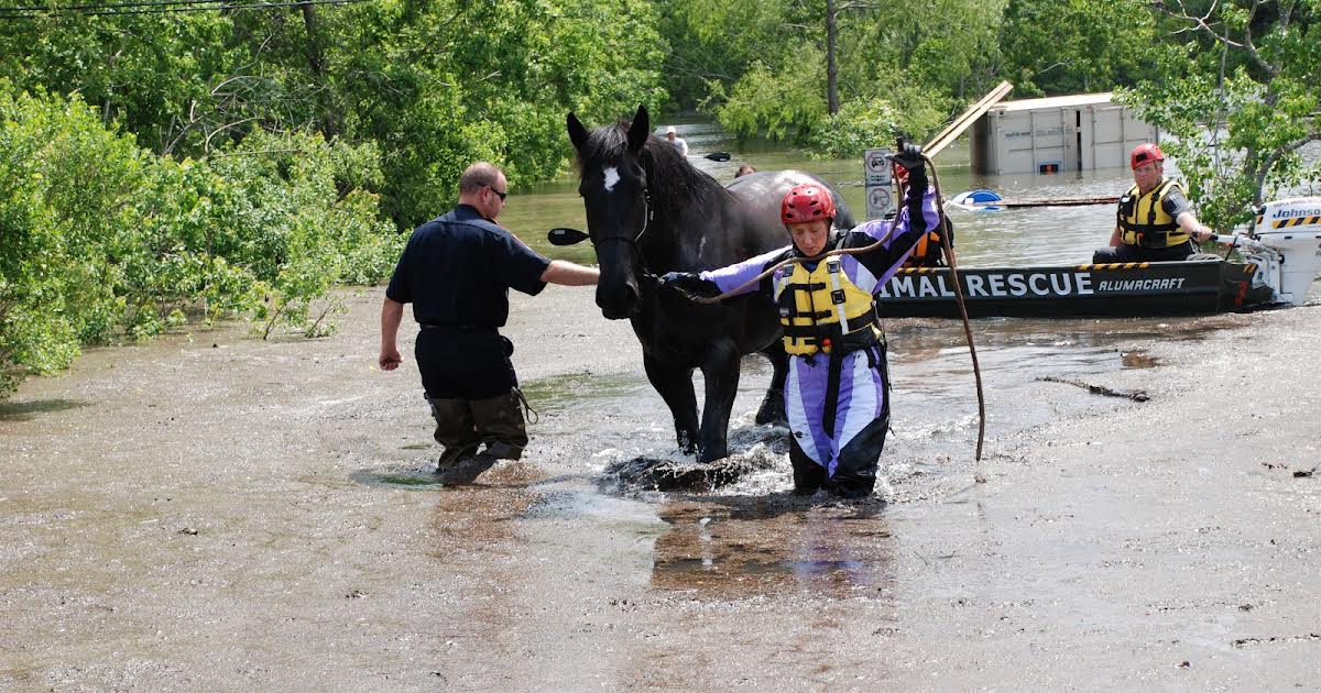 3/7 03:00 | Animal Cops Houston på Animal Planet
