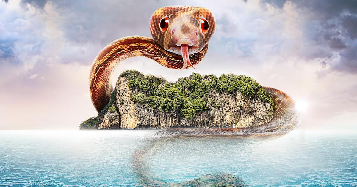 6:30 AM: Baggage Battles (S3 E3) (S3) | Dmax | 1/4 2026