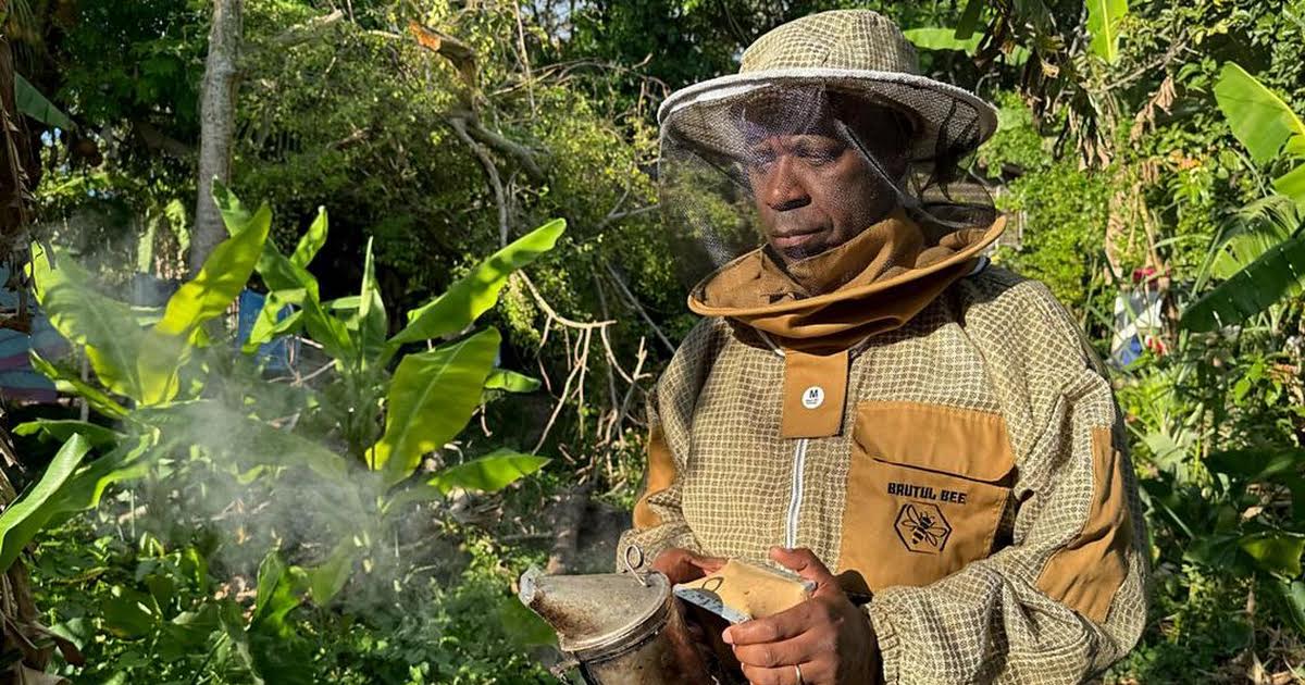 4:30 AM: Clive Myrie’s Caribbean Adventure (S1) | BBC News | 2/8 2026