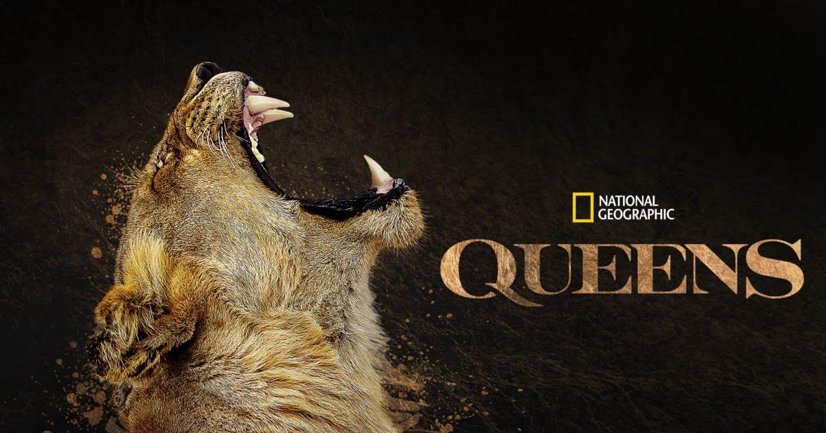 20:20: Queens (S1 E1) (S1) | National Geographic Wild | 1/20 2026