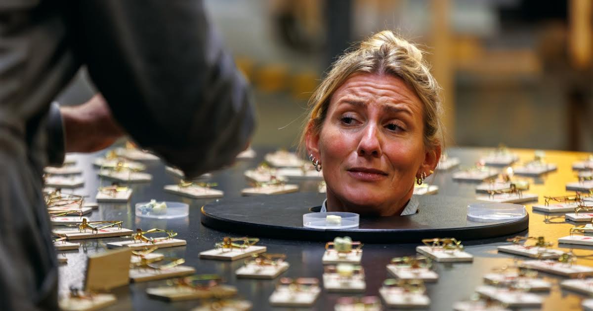 31/1 21:00 | Fear Factor på TV2 Echo