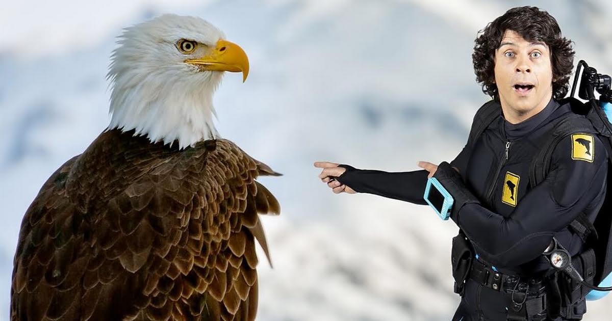 12:10 PM: Andy's Aquatic Adventures (S2) | Cbeebies | 12/6 2025