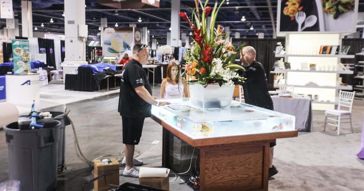 5/2 09:25 | Tanked på Animal Planet