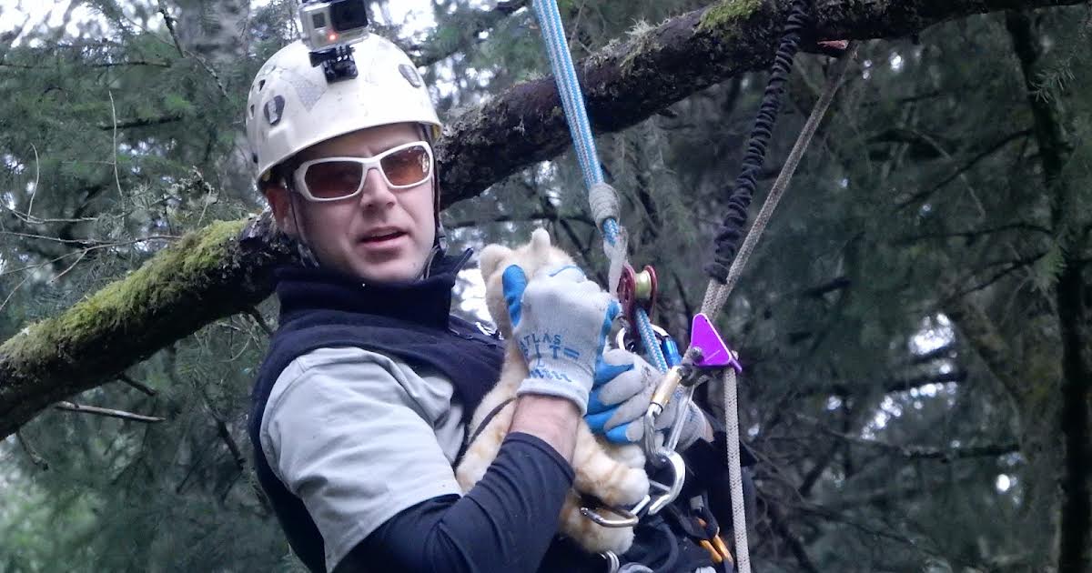 27/1 01:53 | Treetop Cat Rescue på Animal Planet
