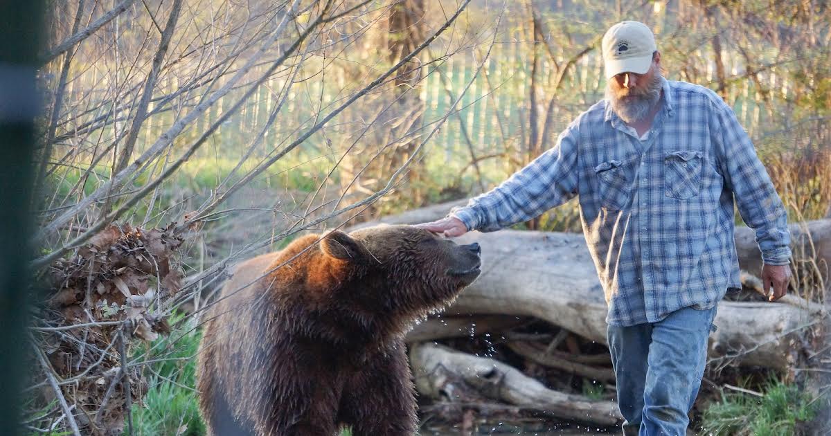 4/2 07:50 | Project Grizzly på Animal Planet