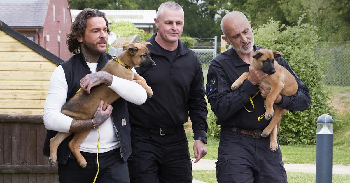 10:00 PM: Pete Wicks: For Dogs' Sake (S3 E2) (S3) | W | 1/13 2026