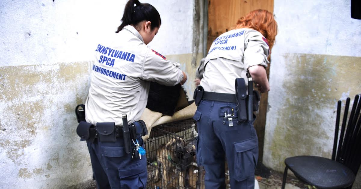 27/7 05:50 | Animal Cops Philadelphia