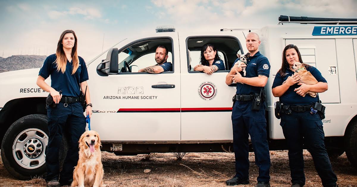 11:00 AM: Animal Cops Phoenix (S1 E2) (S1) | Animal Planet | 1/2 2026