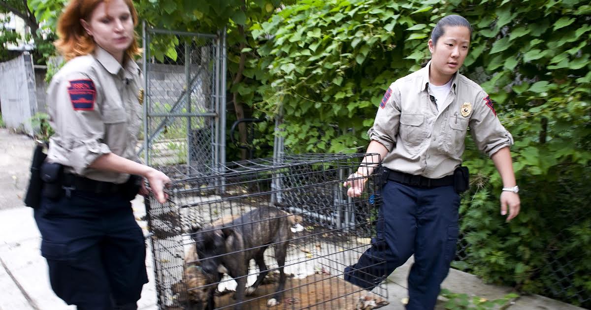 5/5 05:00 | Animal Cops Philadelphia på Animal Planet