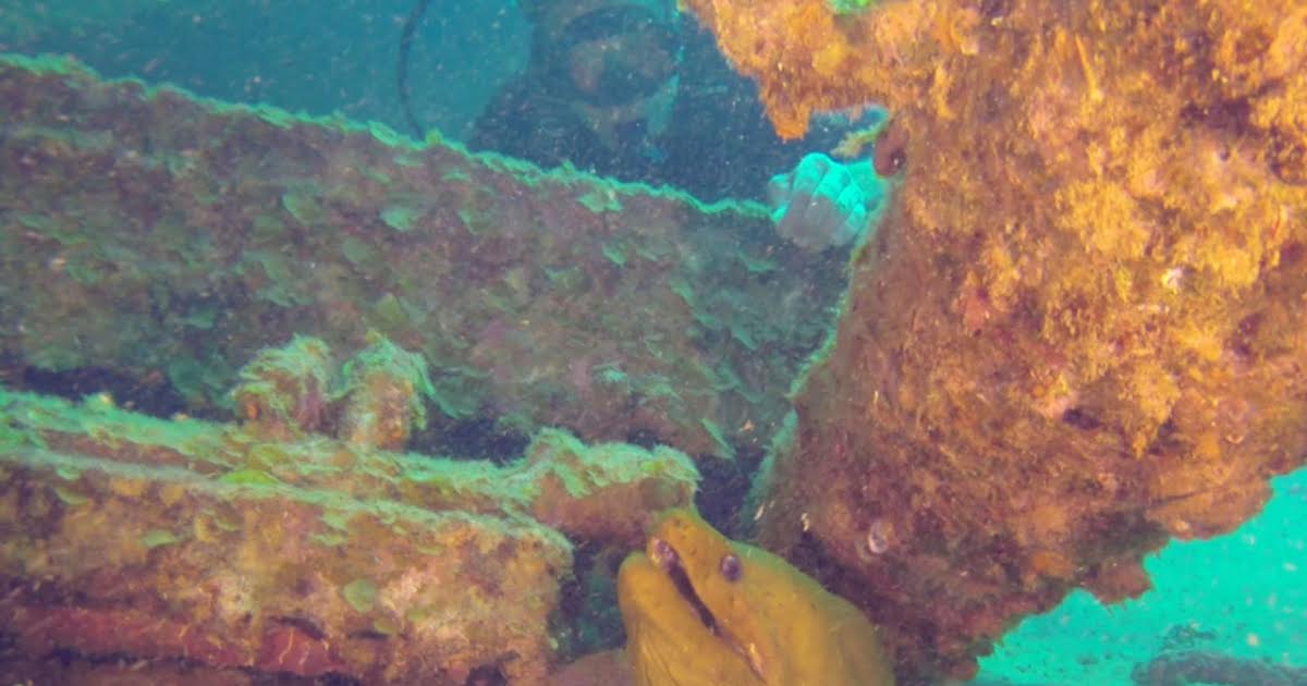 4/1 12:10 | Kurs mod fjerne kyster på TV2 FRI