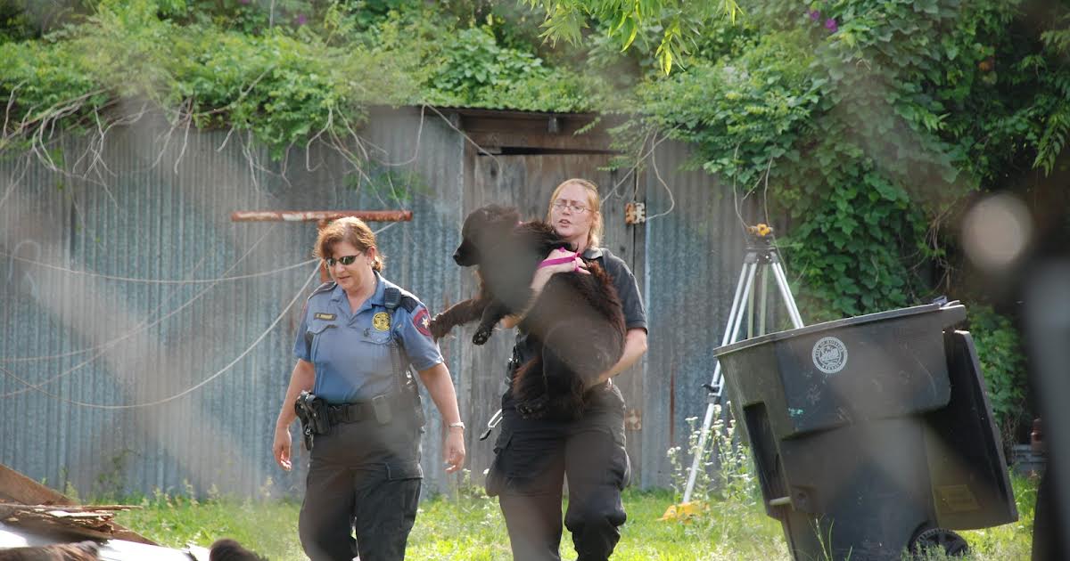 21/9 06:00 | Animal Cops Houston på Animal Planet